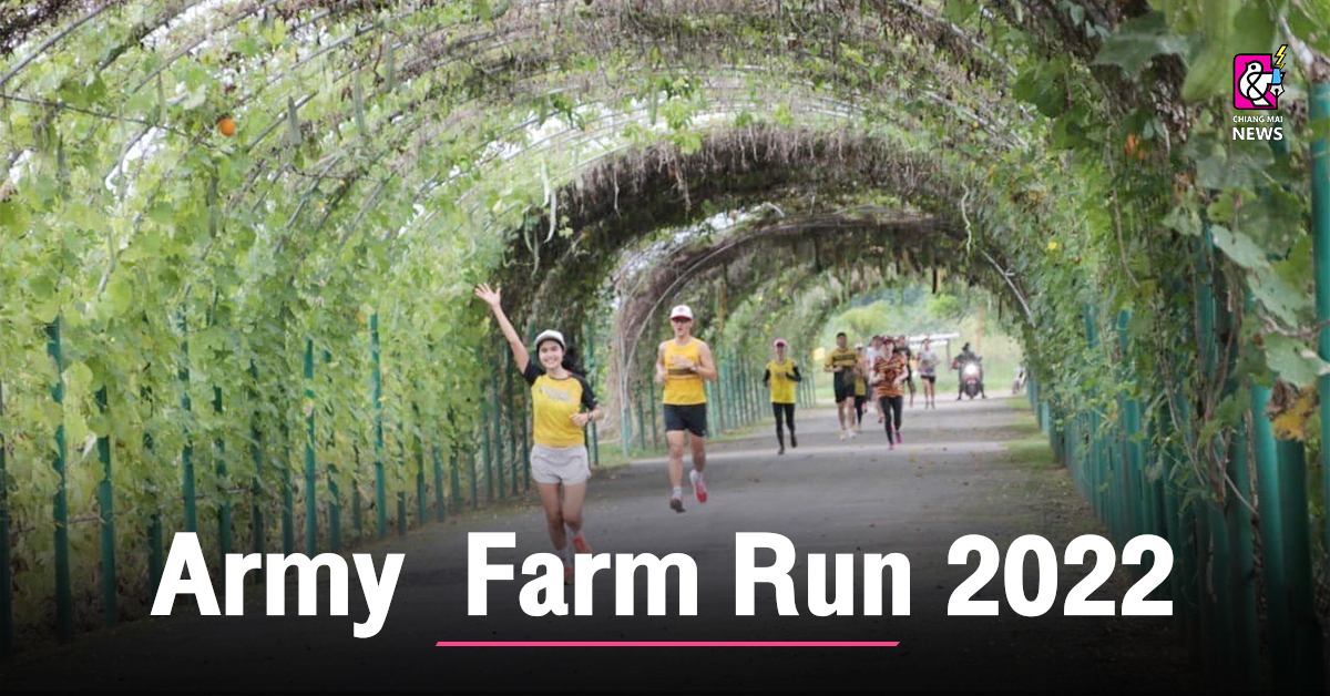 กิจกรรมงานวิ่งการกุศล Army Farm Run 2022 - Chiang Mai News