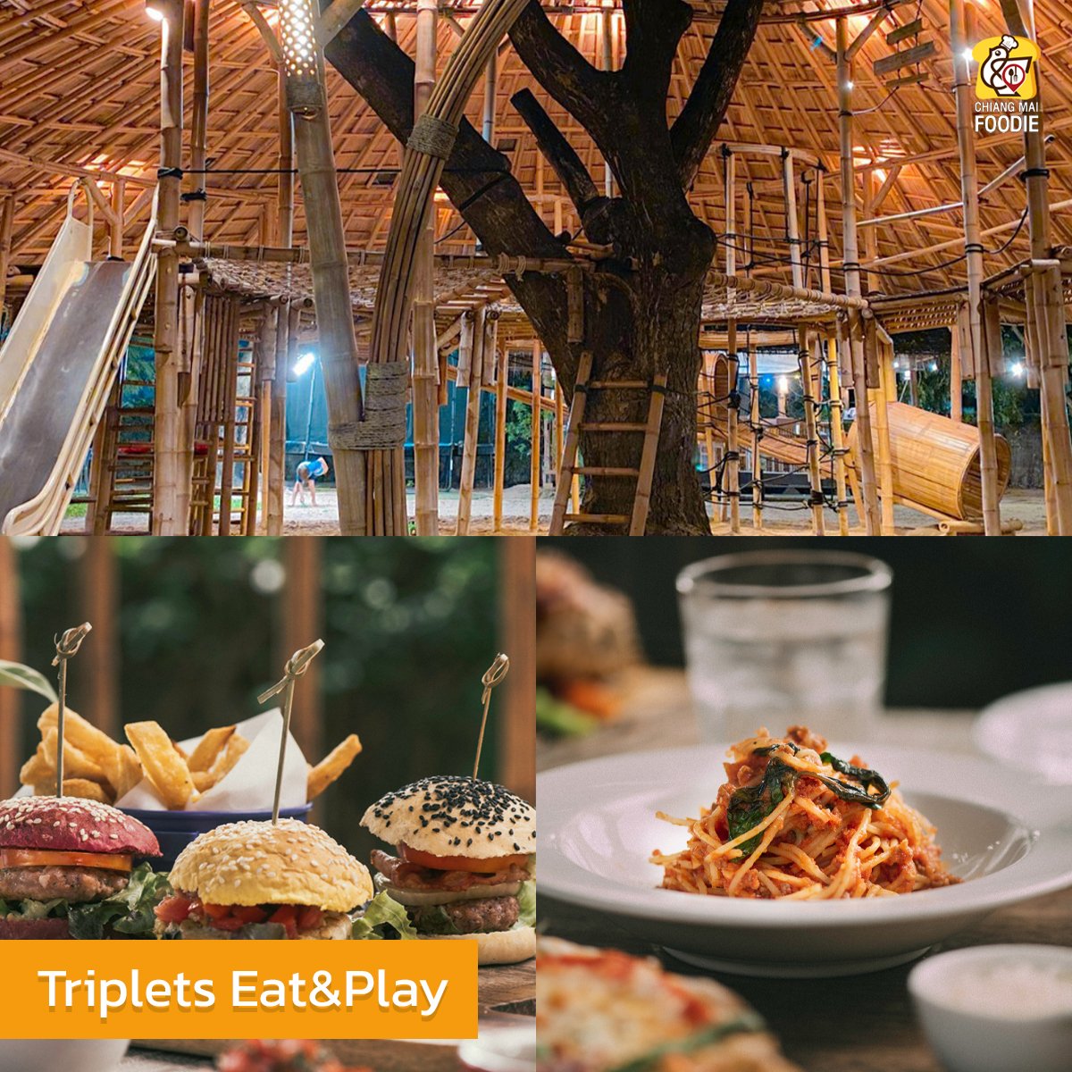 14 ที่สำหรับครอบครัว เชียงใหม่ - Chiang Mai News