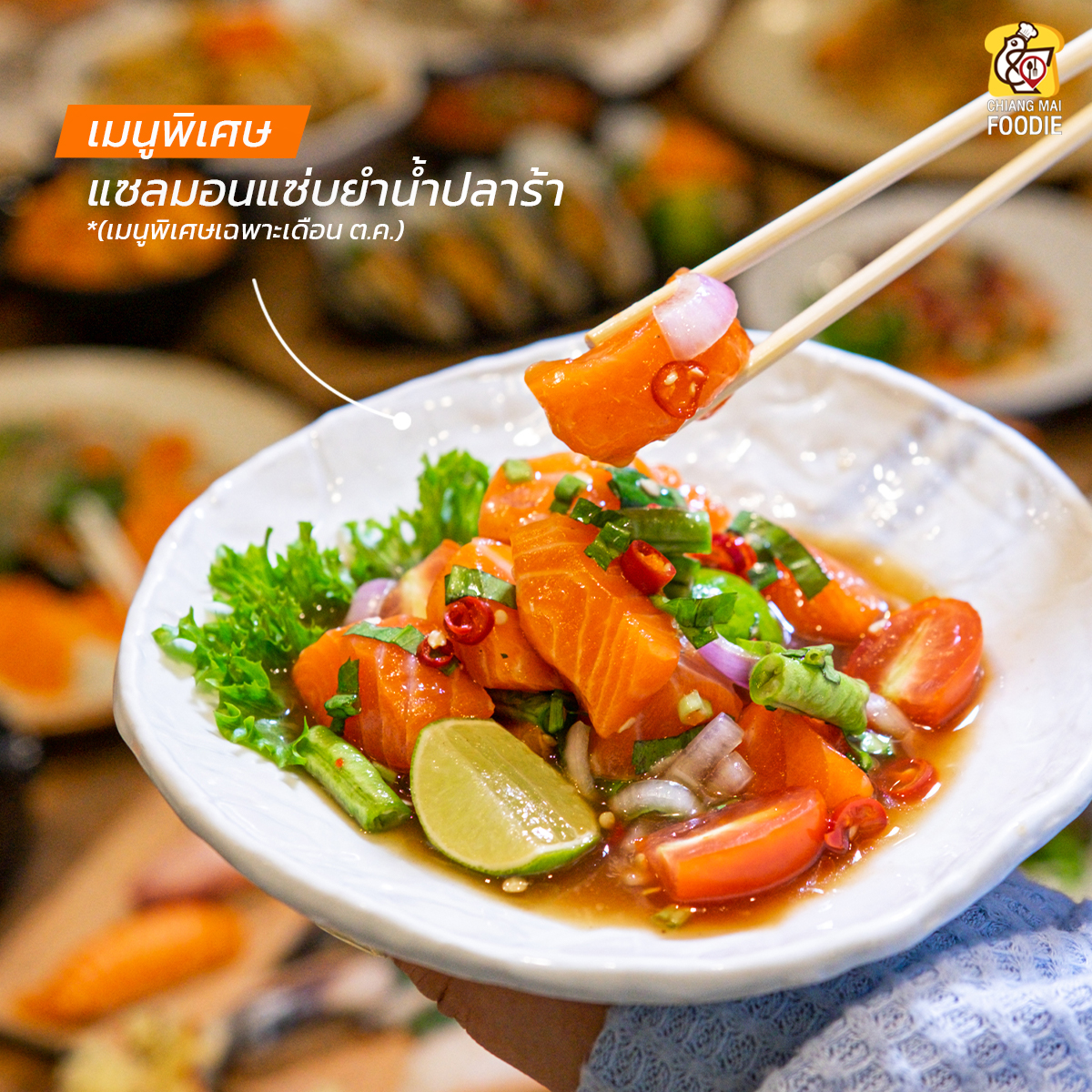 โอชิเน เชียงใหม่ - Oshinei Chiang Mai - Chiang Mai News