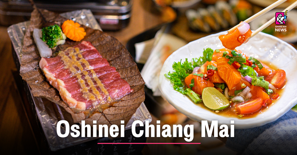 โอชิเน เชียงใหม่ - Oshinei Chiang Mai - Chiang Mai News